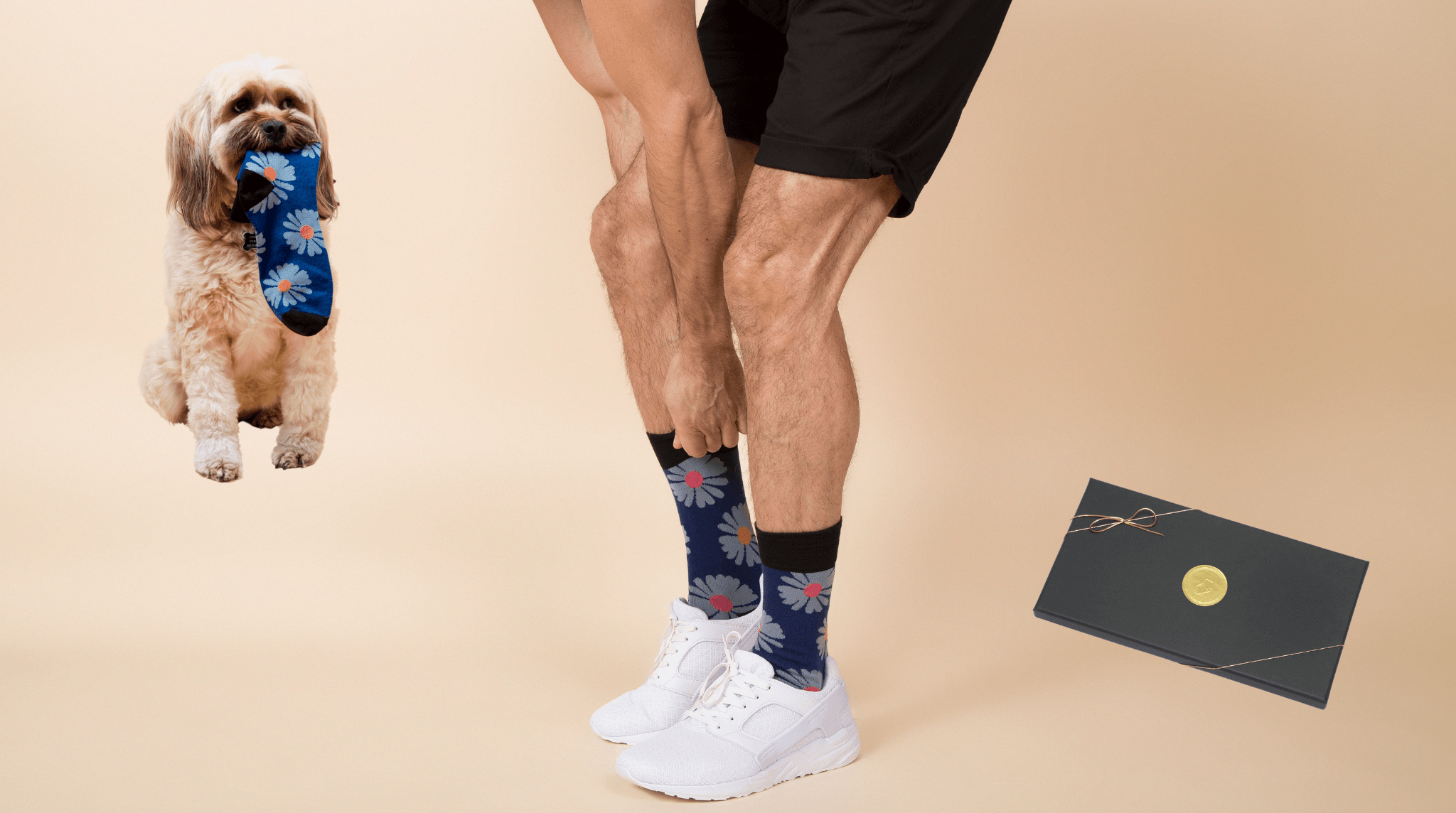 Personality Quiz – Sock Geeks